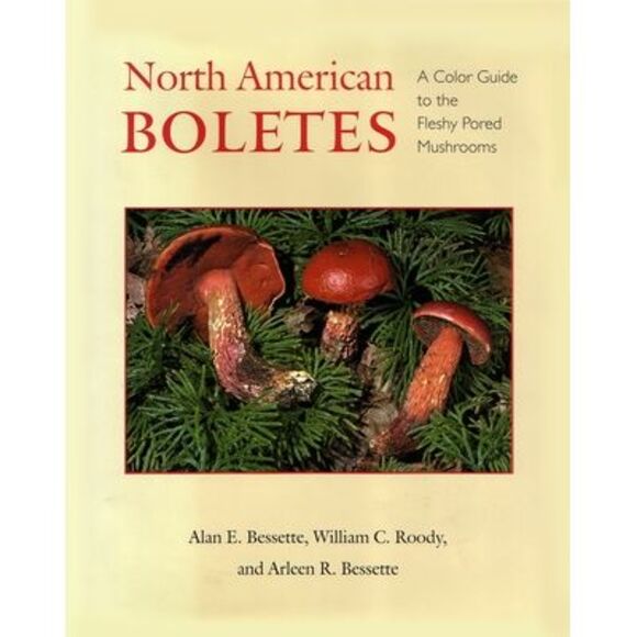 Alan Bessette | Other | North American Boletes A Color Guide To The ...